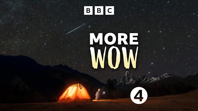 More Wow (5-part series) BBC Radio 4 – Eliza Alice Lomas